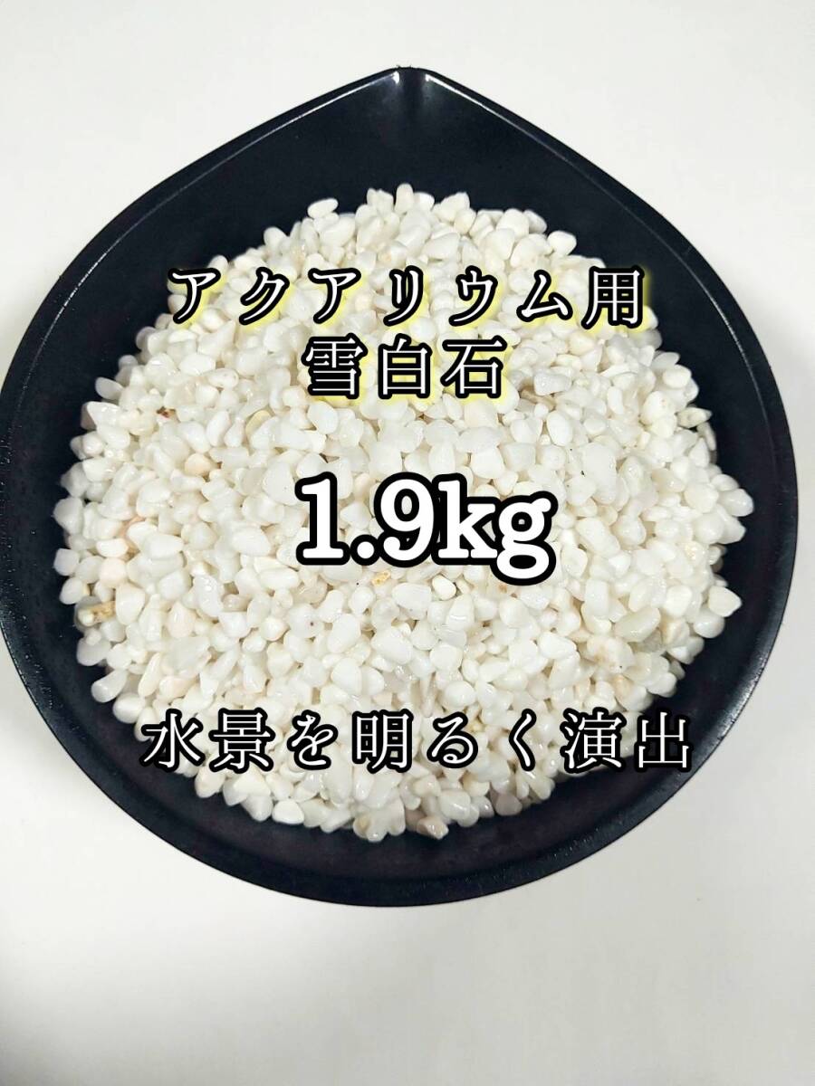 Yahoo!オークション - 高品質 天然石 アクアリウム用 雪白石 1.9kg 約5...
