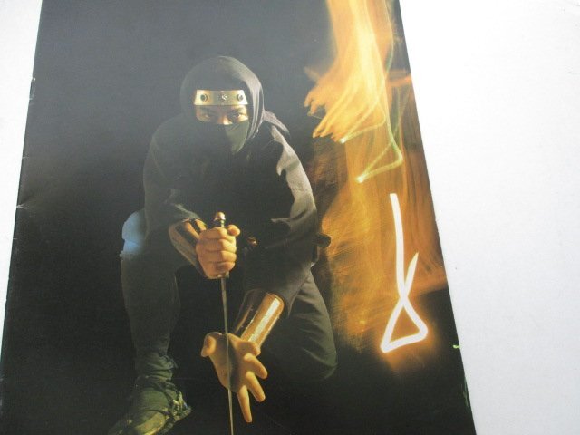 Yahoo!オークション - A4パンフP34・龍の忍者・真田広之他