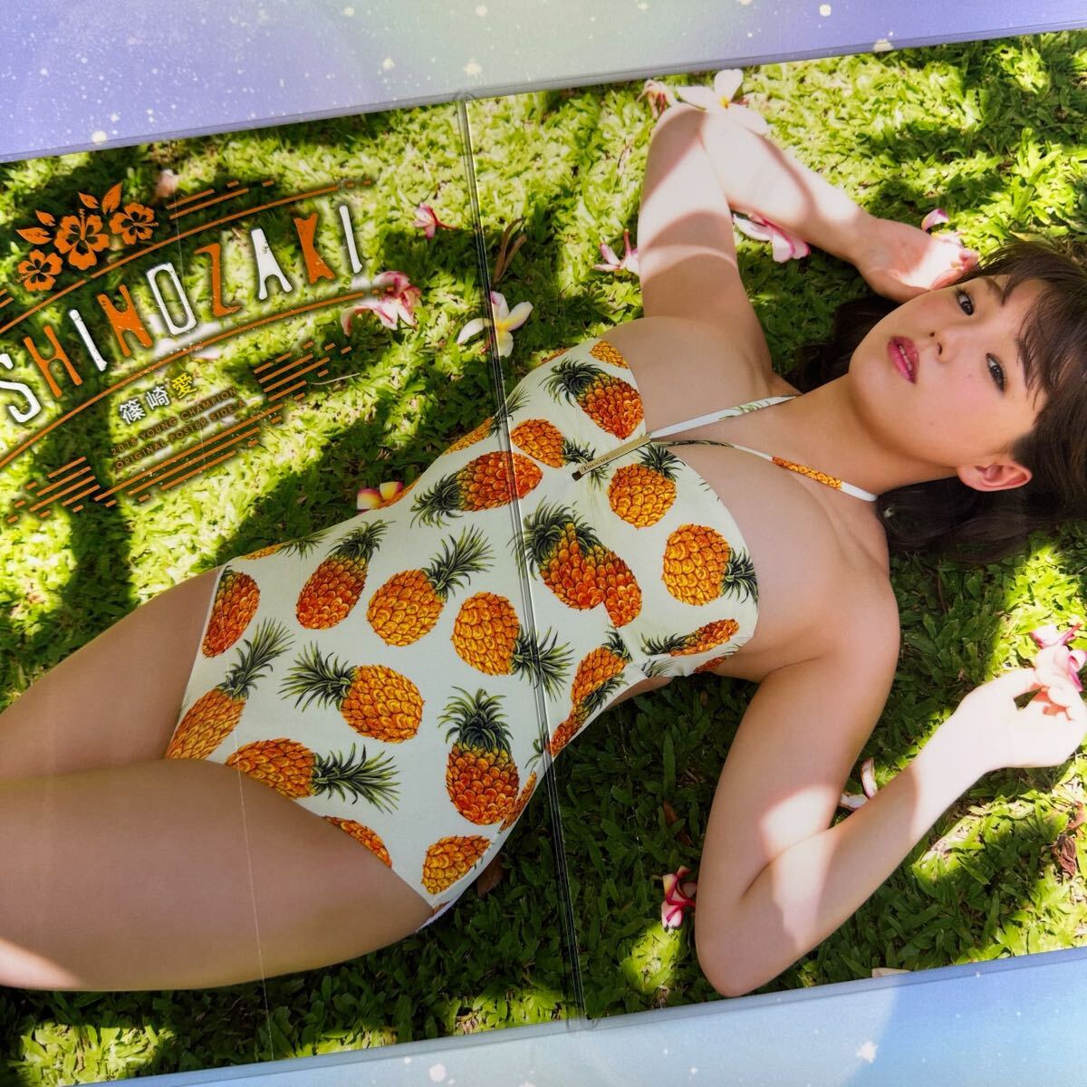 高品質ラミネート処理 篠崎愛 ヤングチャンピオン 2018年2号 雑誌 切り抜き 15P B5フィルム 水着 グラビア アイドル 芸能人 女優(タレント)｜売買されたオークション情報 ...