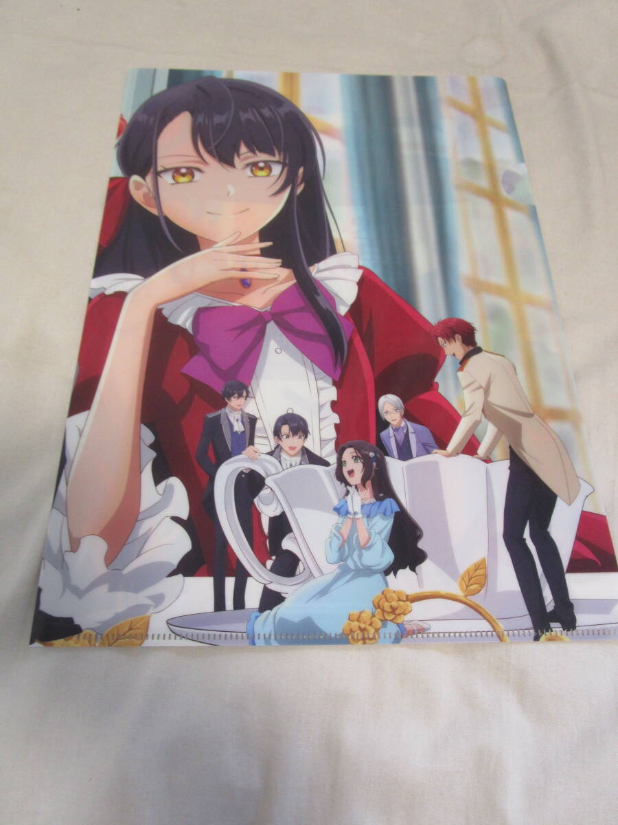 Yahoo!オークション - 【い4074】歴史に残る悪女になるぞ クリアフ...