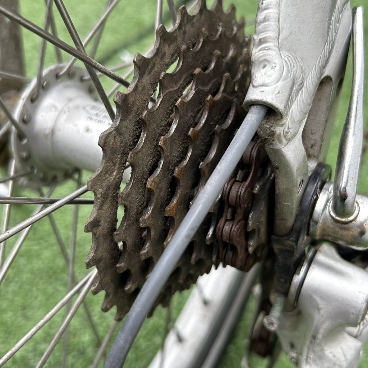 Yahoo!オークション - 【T74今】 全国発送 手渡歓迎 京都市伏見区 Ries...