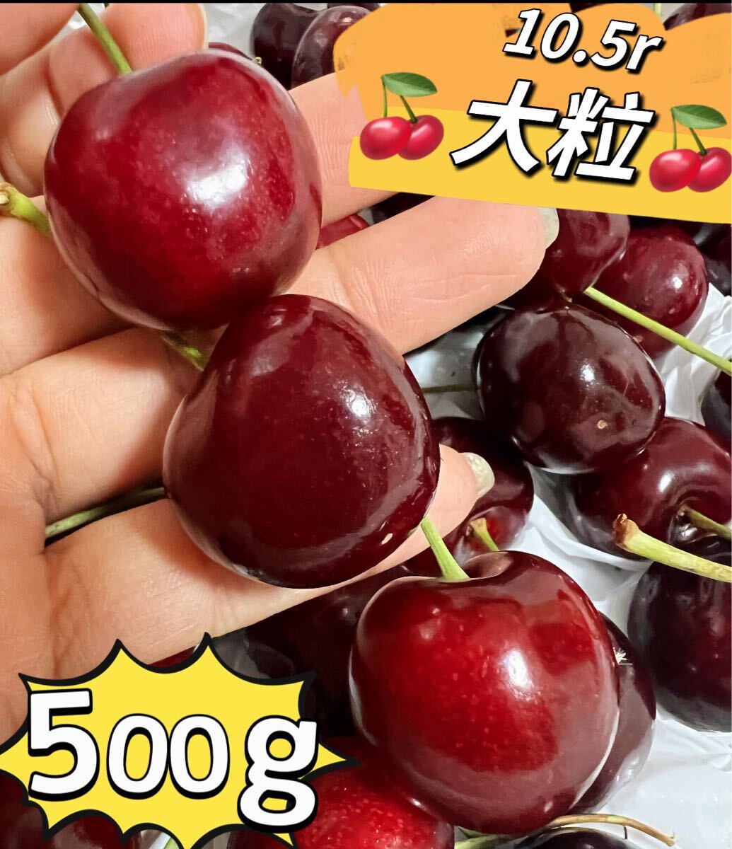 Yahoo!オークション - 10.5r大粒アメリカンチェリー500g 父の日 中元 ...