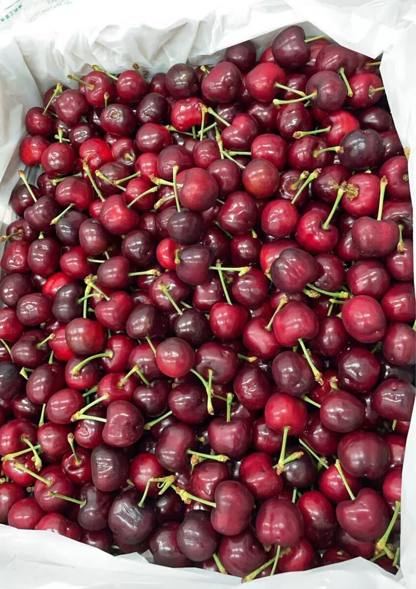 Yahoo!オークション - 10.5r大粒アメリカンチェリー500g 父の日 中元 ...
