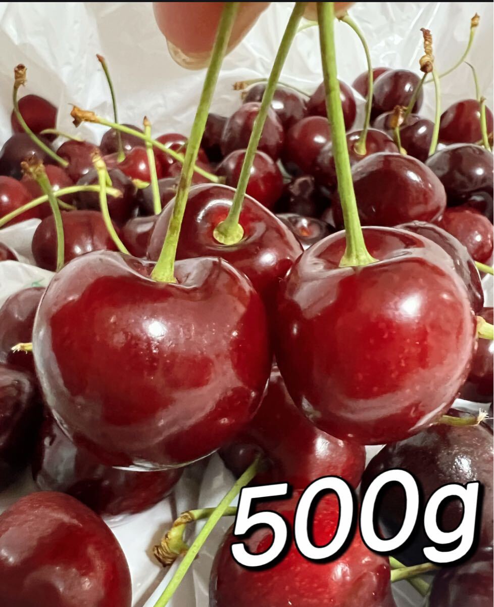 Yahoo!オークション - 10.5r大粒アメリカンチェリー500g 父の日 中元 ...