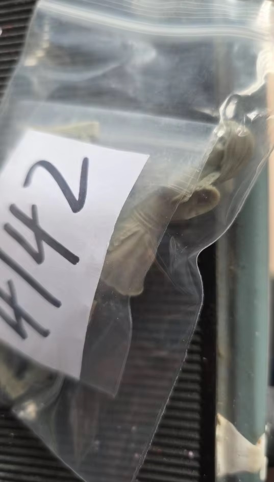 Yahoo!オークション - 1/24 女の子 レトロ 海外 ビスチェ 女の子 女性 ...