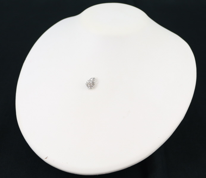 Yahoo!オークション - ダイヤ ダイヤモンド 0.25ct 2種カット ペンダン...