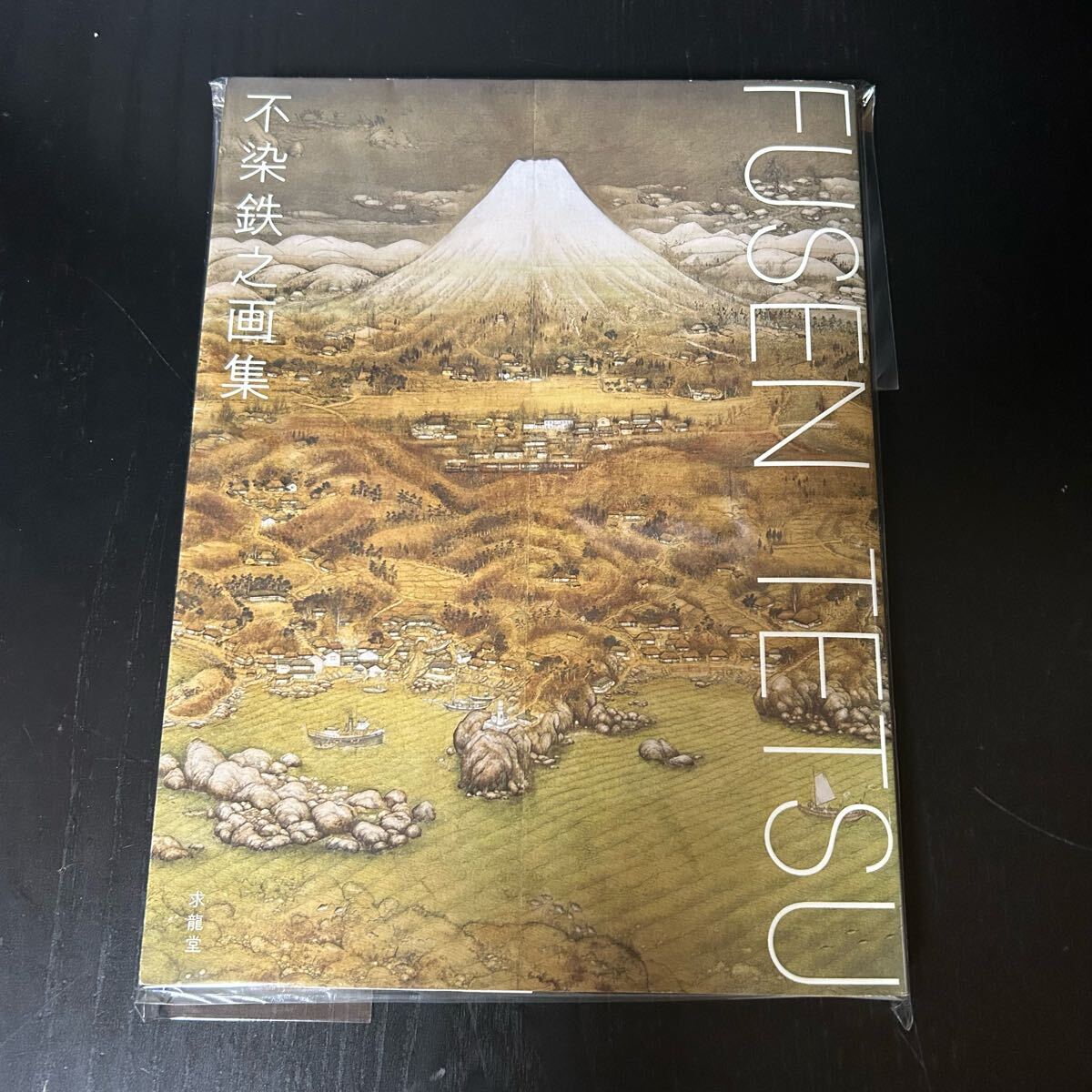 Yahoo!オークション - 不染鉄之画集 FUSEN TETSU 求龍堂 本 中古