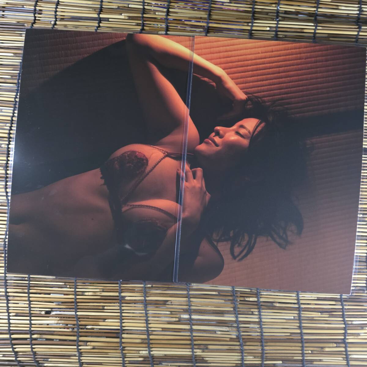 Yahoo!オークション - 【高品質厚手150μラミネート加工】奈月セナ ...