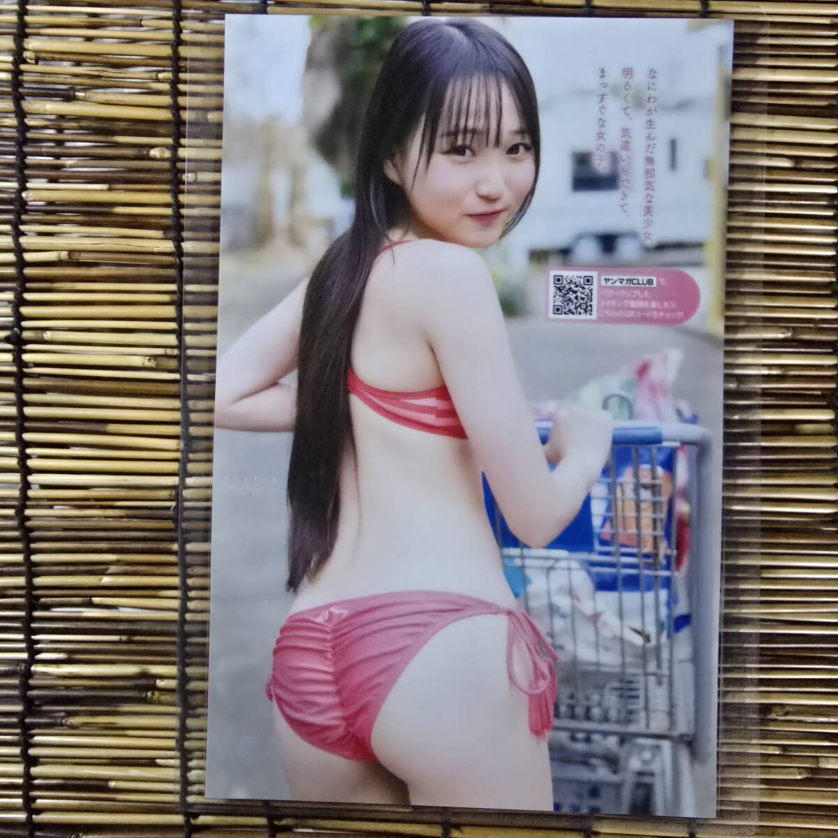 Yahoo!オークション - 【高品質厚手150μラミネート加工】夏井ちひ...