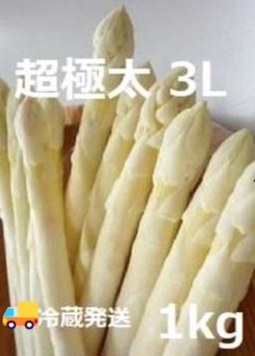 Yahoo!オークション - 【農家直送】超極太 北海道産ホワイトアスパラ 1...