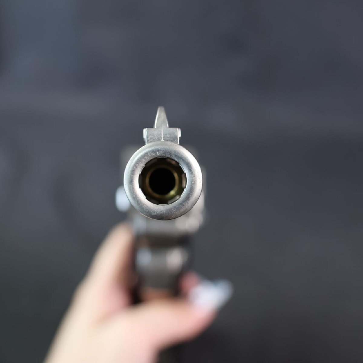 Yahoo!オークション - タナカワークス ルガー P08 4インチ HW ガスガ...