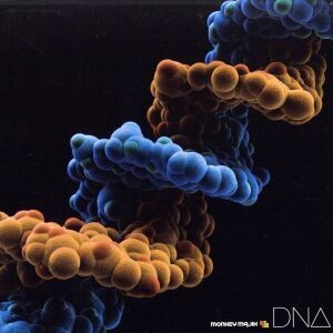 Yahoo!オークション - DNA(DVD付)/MONKEY MAJIK