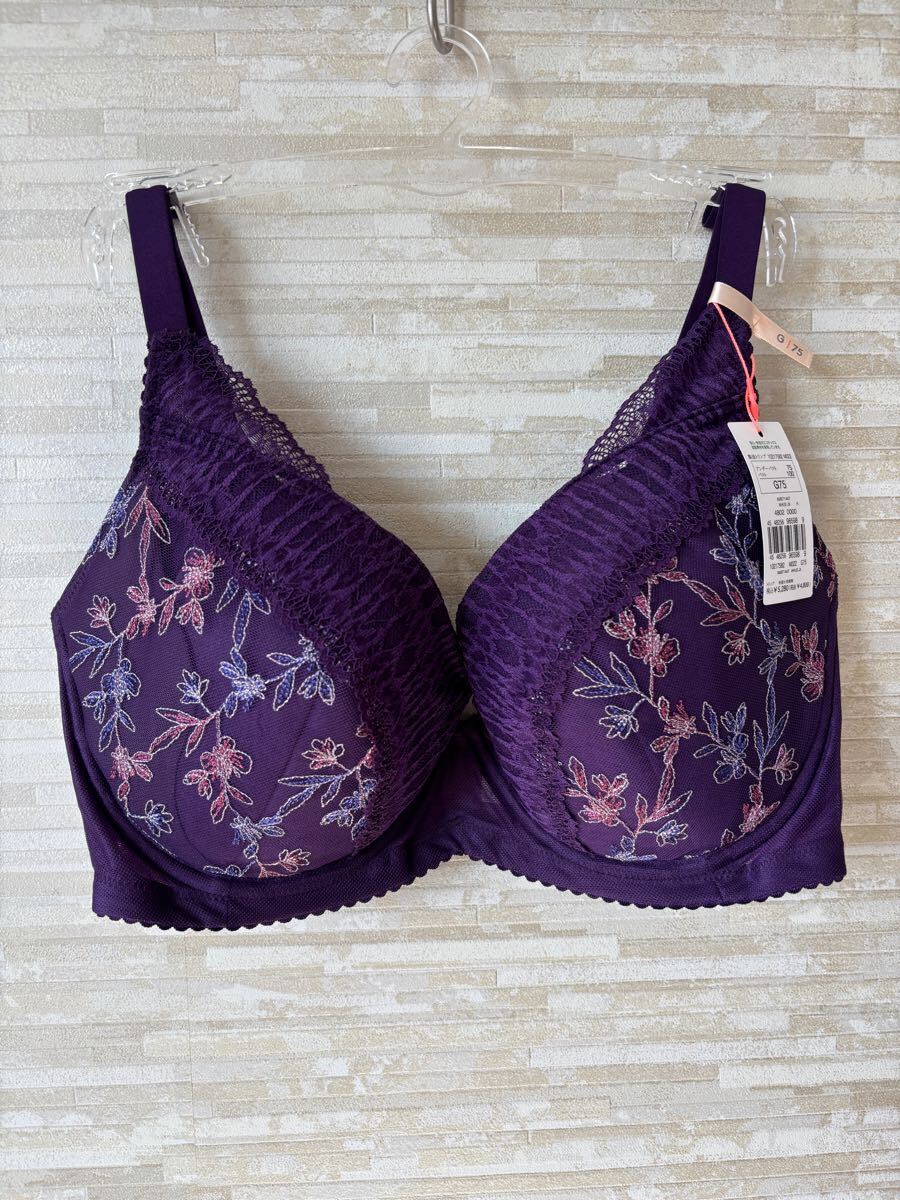 Yahoo!オークション - G75」トリンプ ナチュラルスリム 日本庭園景色ク...