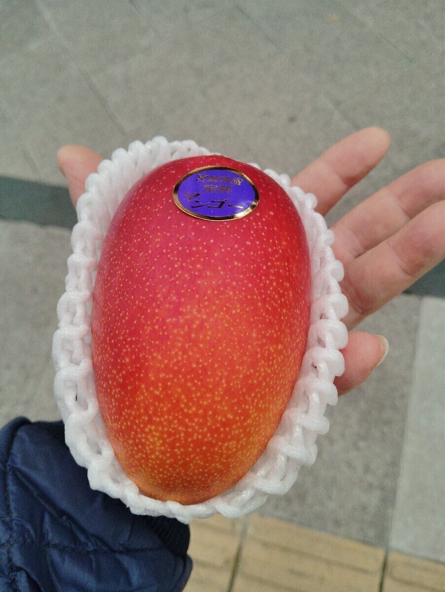 Yahoo!オークション - 宮崎完熟マンゴー2玉630g前後場合によっては3玉...