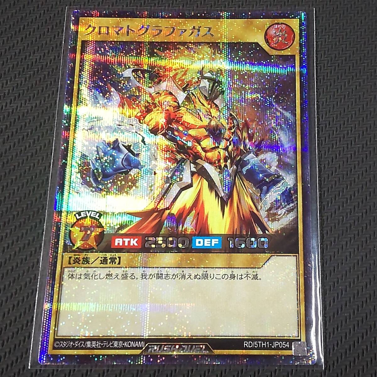 Yahoo!オークション - RD/5TH1-JP054 SE クロマトグラファガス シーク...