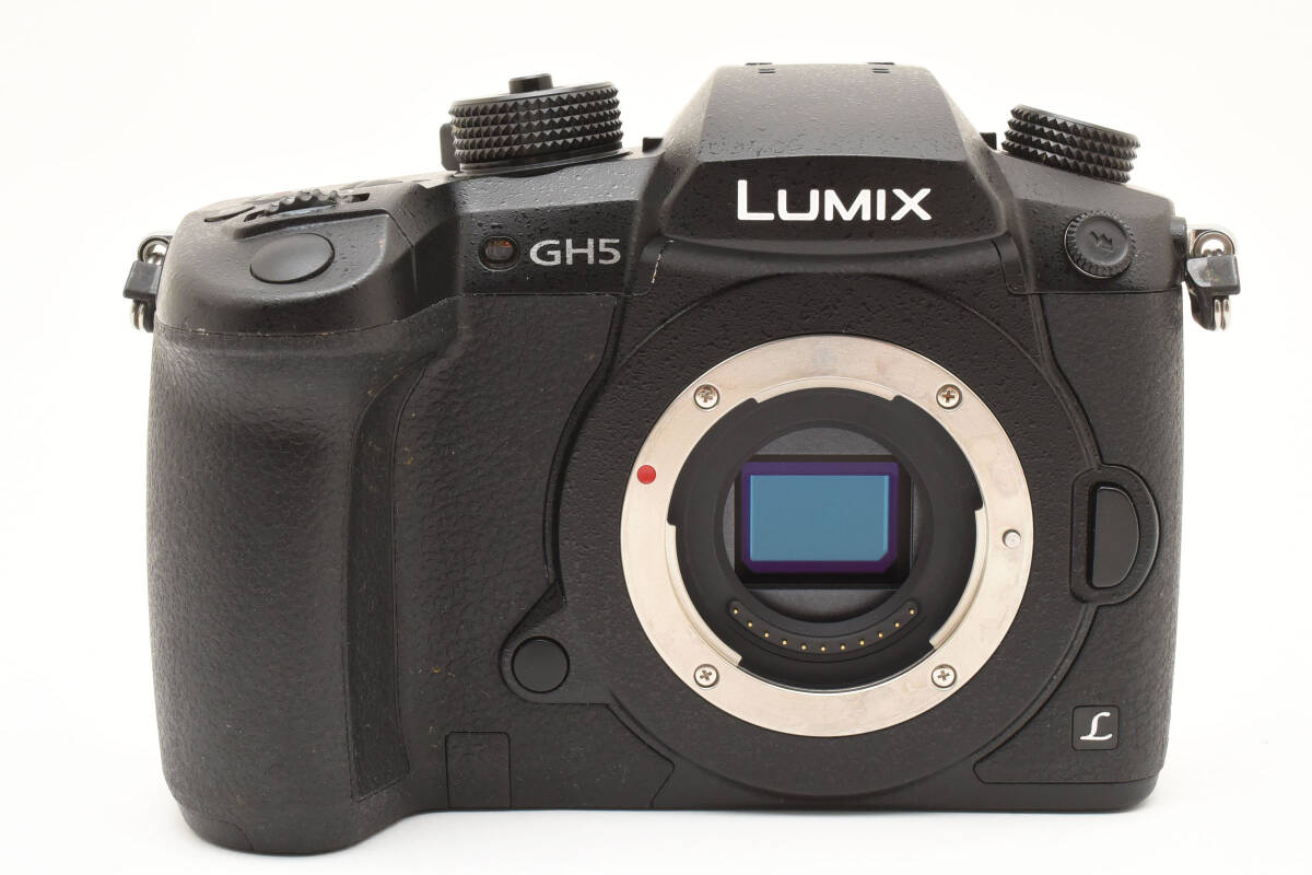Yahoo!オークション - Panasonic LUMIX GH5 パナソニック ミラーレス一...