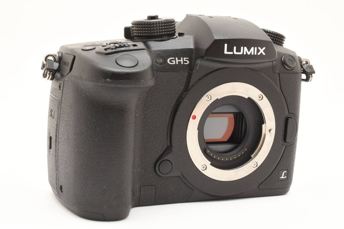 Yahoo!オークション - Panasonic LUMIX GH5 パナソニック ミラーレス一...