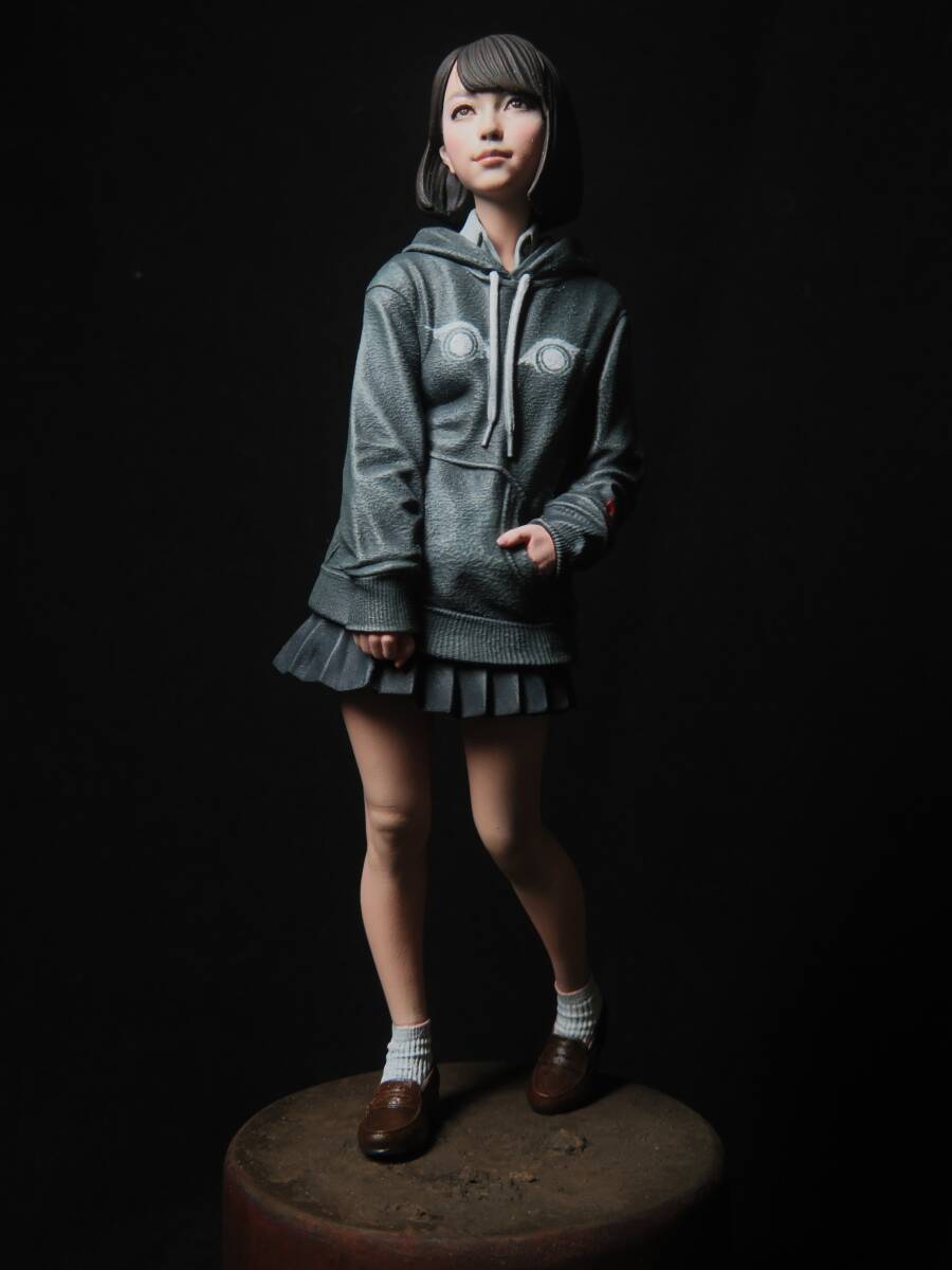 Yahoo!オークション - ハセガワ 1／12 JKメイトシリーズ HOODIE【パ...