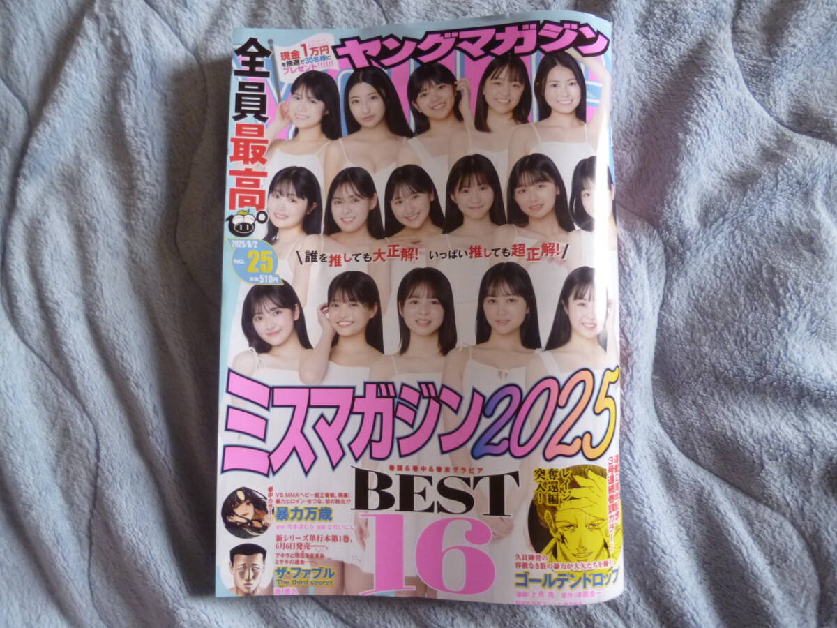 Yahoo!オークション - 週刊ヤングマガジン 2025年 No25号 ミスマガジン...