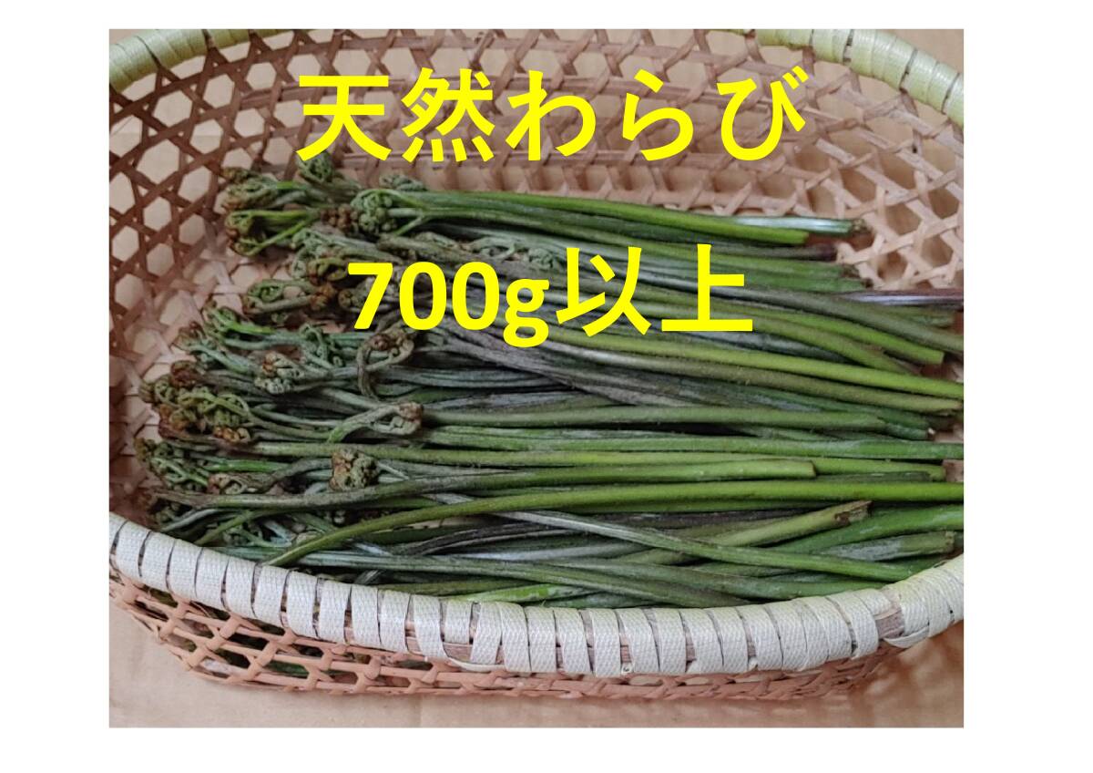 Yahoo!オークション - 新潟県産わらび700gその7