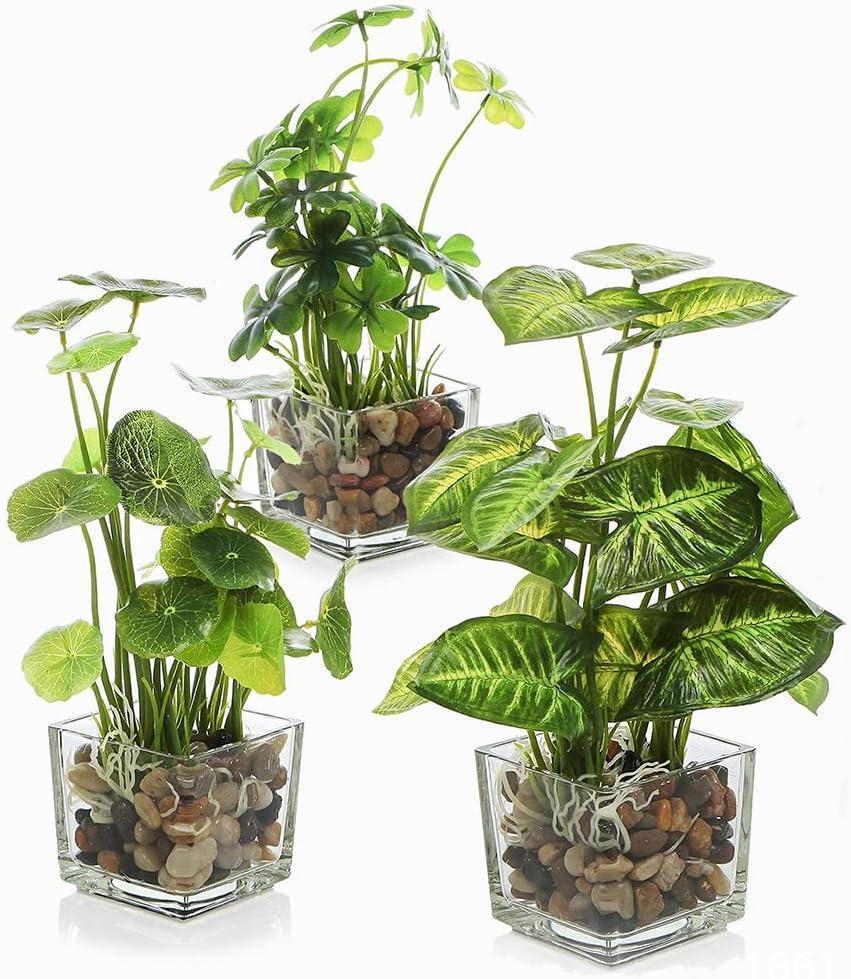 Yahoo!オークション - XiaZ 適格請求書発行可 人工観葉植物 フェイクグ...