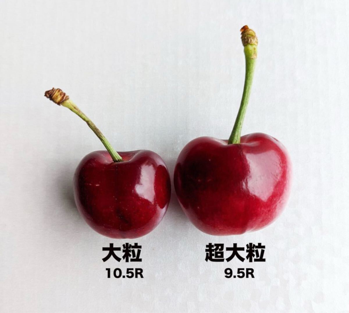 Yahoo!オークション - 9.5r超大粒アメリカンチェリー500g 母の日 父の...