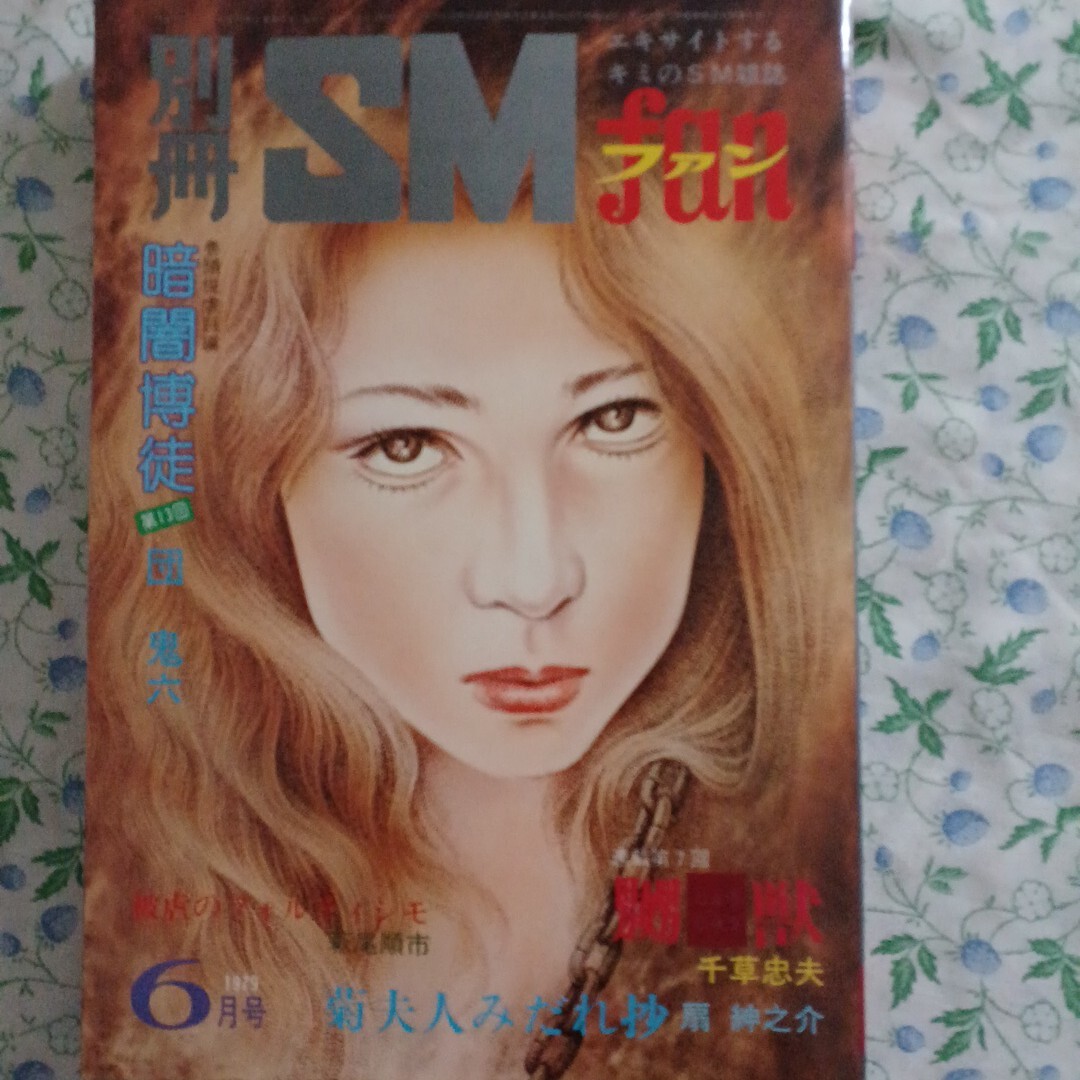 Yahoo!オークション - 5191 別冊SMファン1979年6月号 前田寿安 鬼頭暁 ...