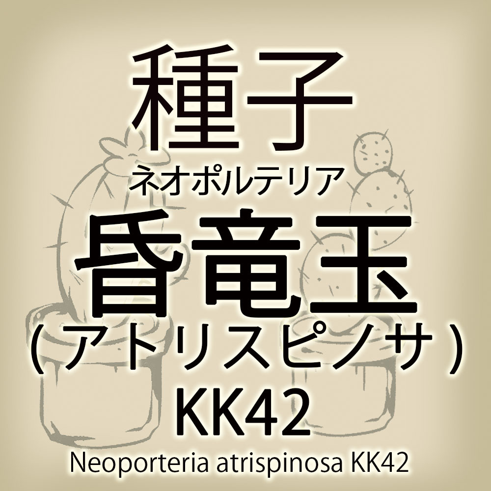 Yahoo!オークション - 【輸入種子】ネオポルテリア・アトリスピノサ(昏...