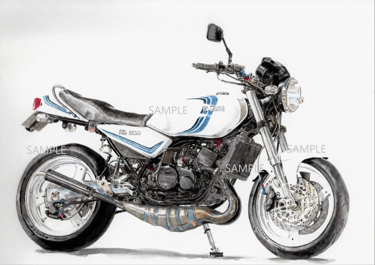 Yahoo!オークション - A4プリントです ヤマハ RZ250 白青 水彩画 バ...