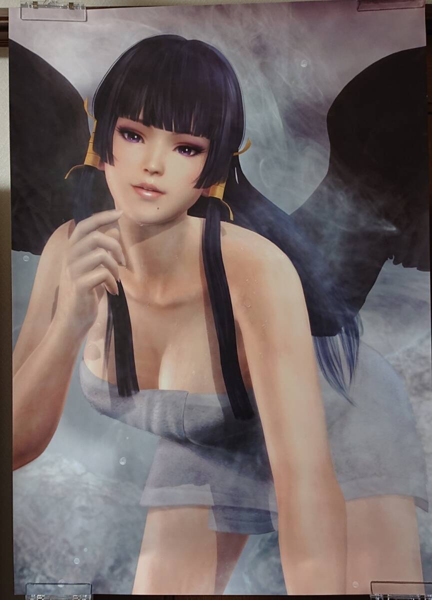 Yahoo!オークション - デッド オア アライブ5 DOA 女天狗 B2お風...