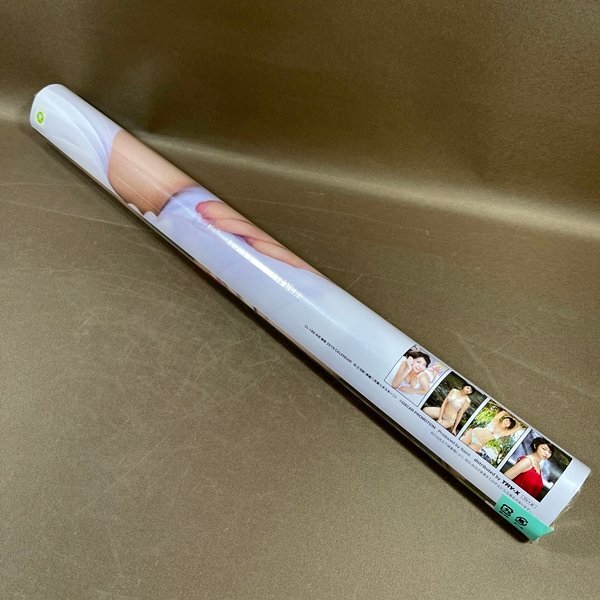 Yahoo!オークション - P147 未開封新品【 中村静香 2019年 カレンダー ...