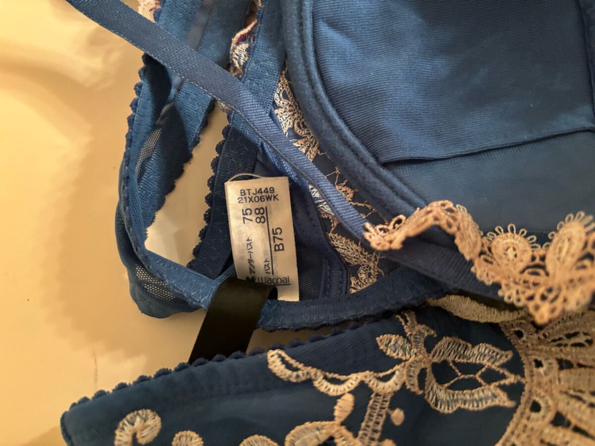 Yahoo!オークション - Wacoal/ワコール/Salute/サルート/B75/M/49G/49...