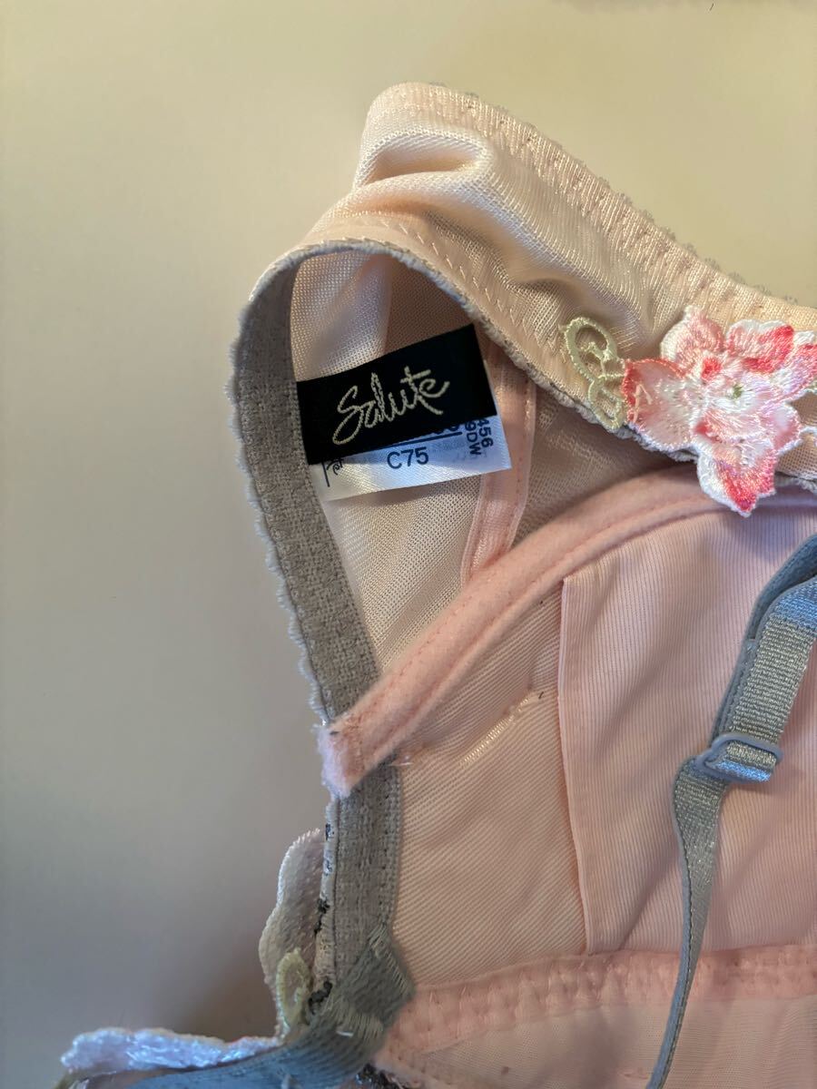 Yahoo!オークション - Wacoal/ワコール/Salute/サルート/C75/M/56G/56...