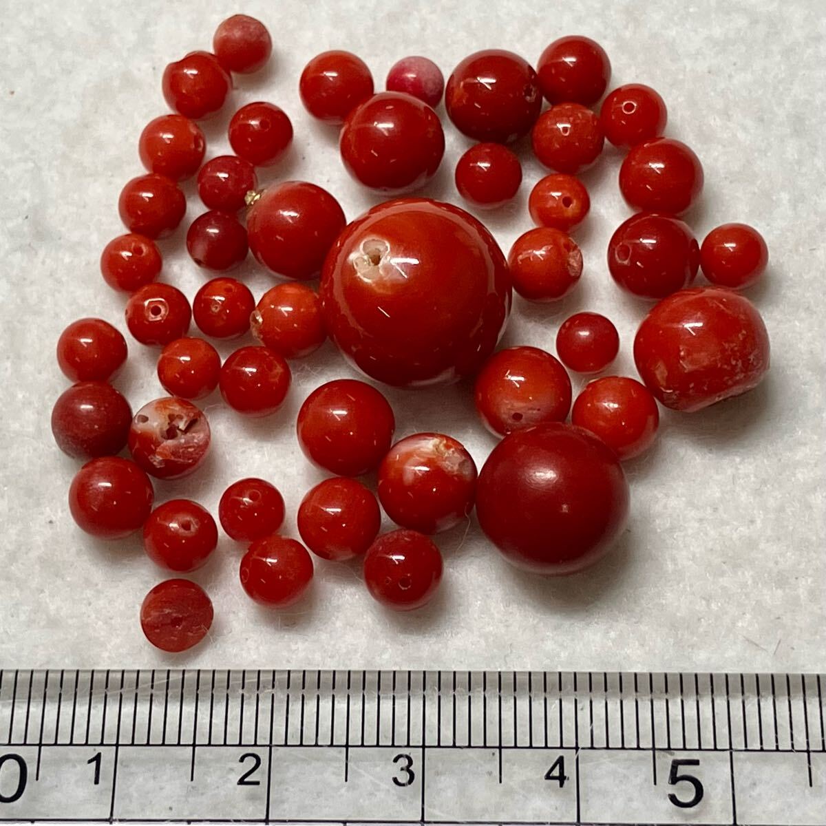 Yahoo!オークション - 1円〜 ≪天然赤珊瑚おまとめ77.5ct≫j 約15.5g ...