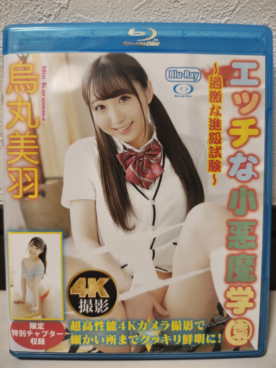 Yahoo!オークション - 【廃盤入手困難】烏丸美羽 エッチな小悪魔学園 ...