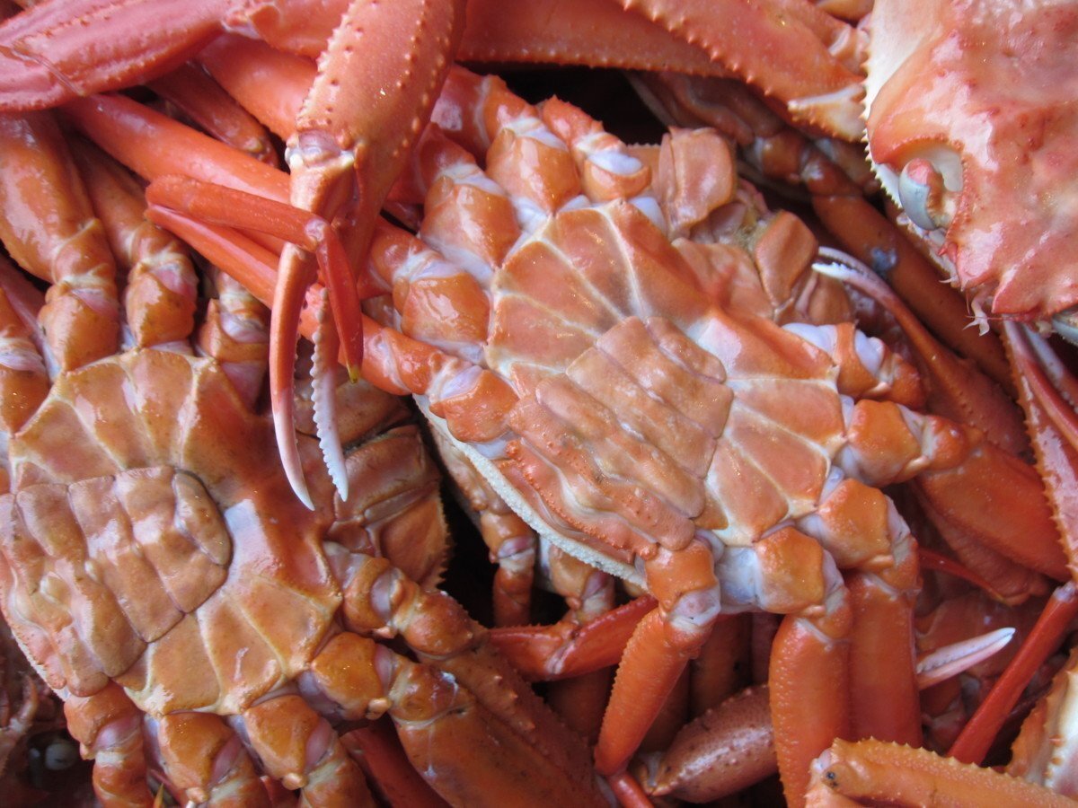 Yahoo!オークション - 5本 名人の浜茹で蟹3L (500-600g）茹でたて直送...