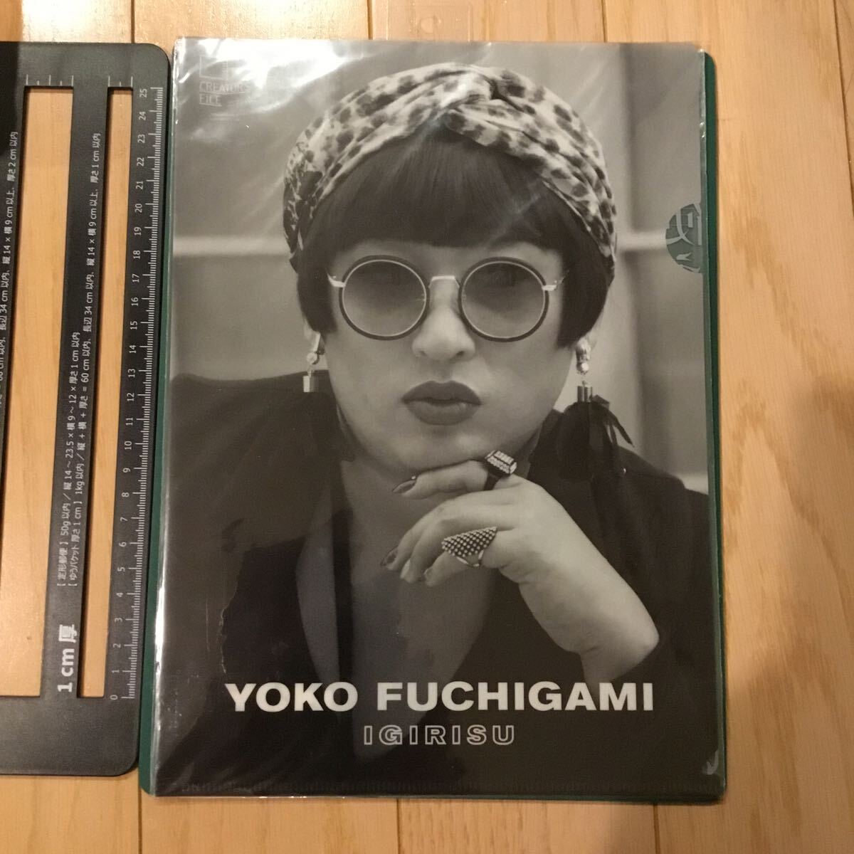 Yahoo!オークション - クリエーターズ・ファイル YOKO FUCHIGAMI A4ク...