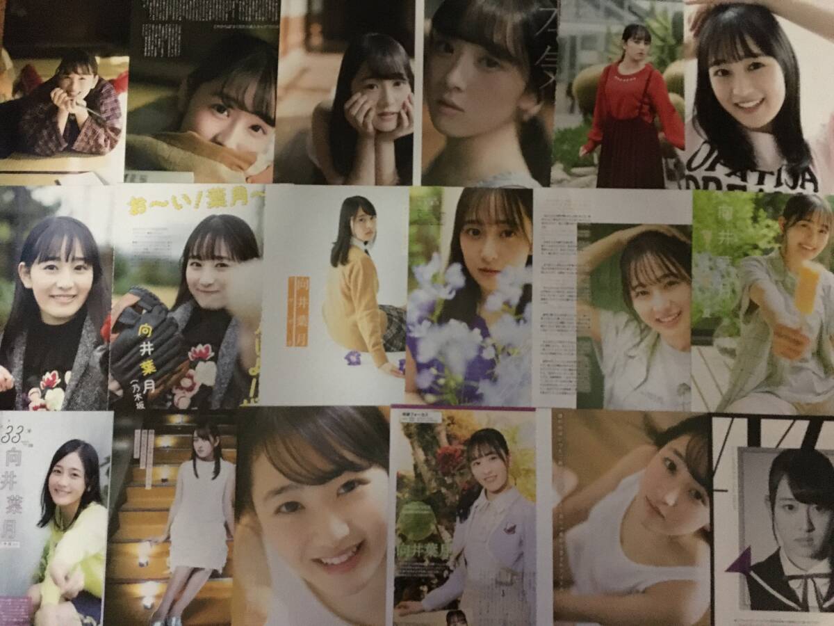 Yahoo!オークション - 向井葉月 65ページ分 切り抜き0175