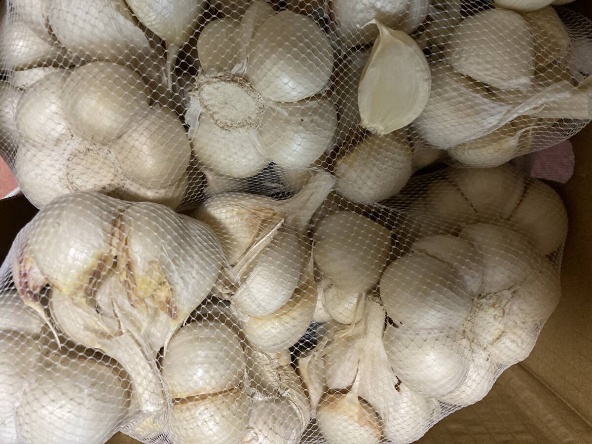 Yahoo!オークション - 青森県産 福地ホワイト6片ニンニク 10kg L〜2Lサ...