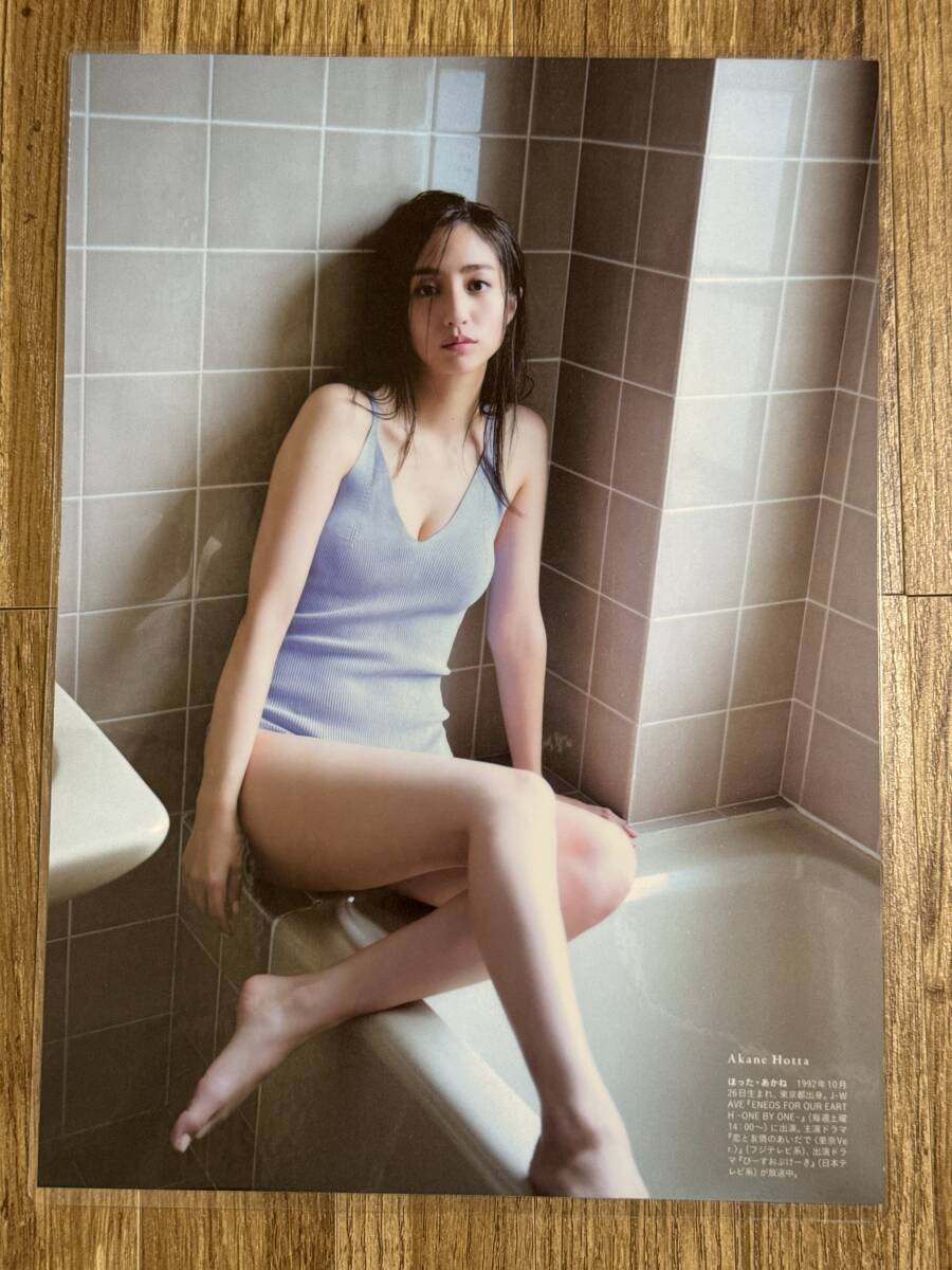 Yahoo!オークション - 【150μm ラミネート加工】A4サイズ 堀田茜 ラン...