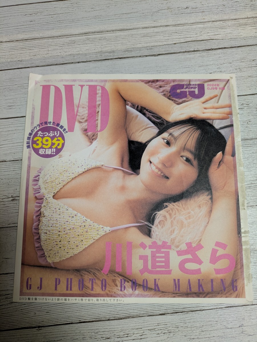 Yahoo!オークション - #100 川道さら DVD GJ PHOTO BOOK MAKING グラン...