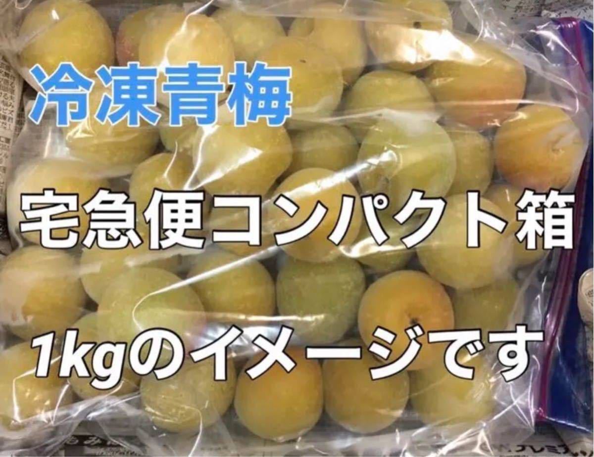 Yahoo!オークション - y410 冷凍クール便「冷凍南高梅」2L 8kg 青梅 梅...