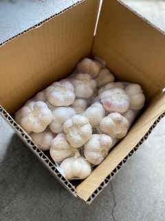 Yahoo!オークション - 青森県 乾燥にんにく2Kg 2L