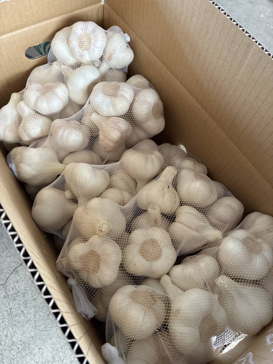 Yahoo!オークション - 青森県 生にんにく3Kg 2L.L