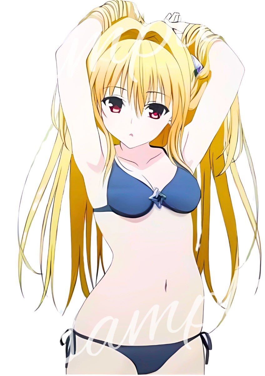 Yahoo!オークション - A4 ポスター アニメ 美少女 水着 金色の闇 ToLOV...