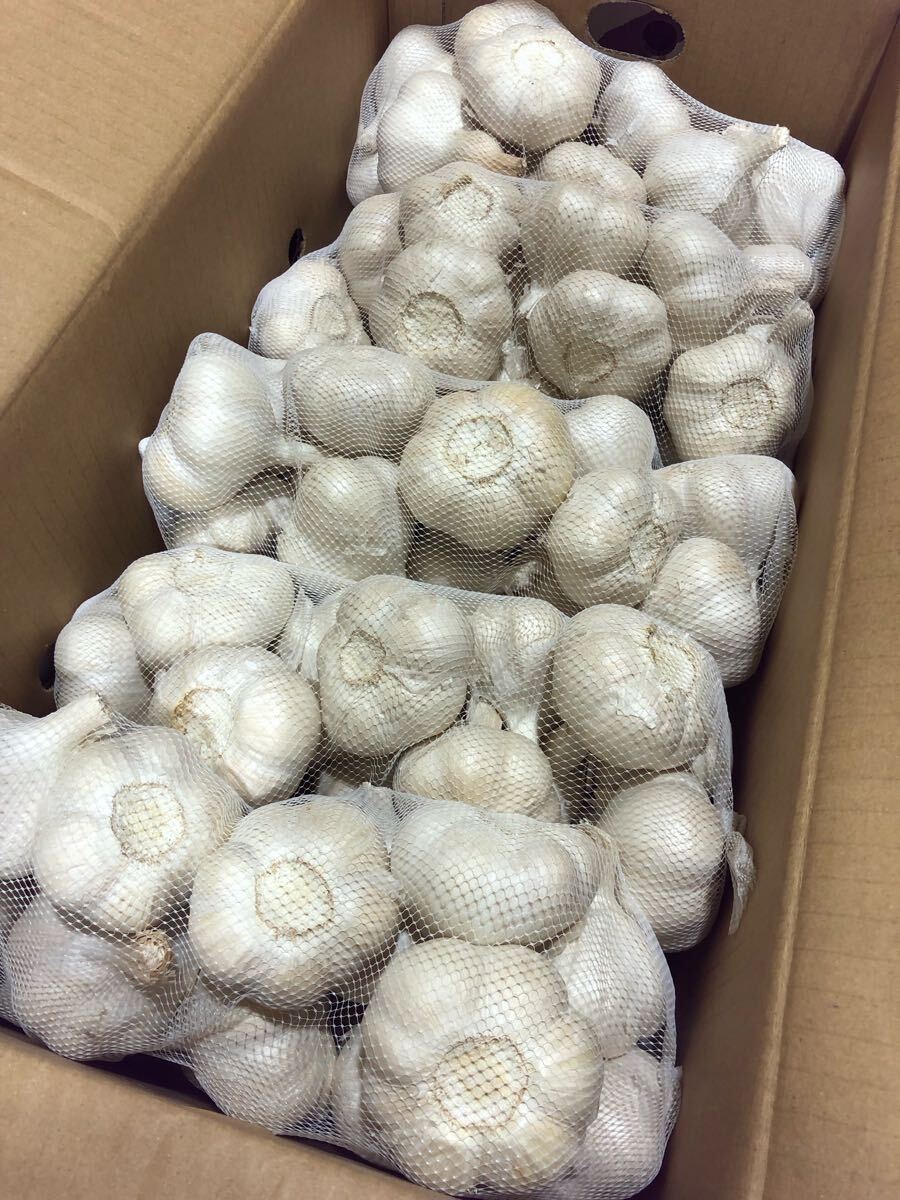 Yahoo!オークション - 青森県産 にんにく L 10kg 福地ホワイト六...