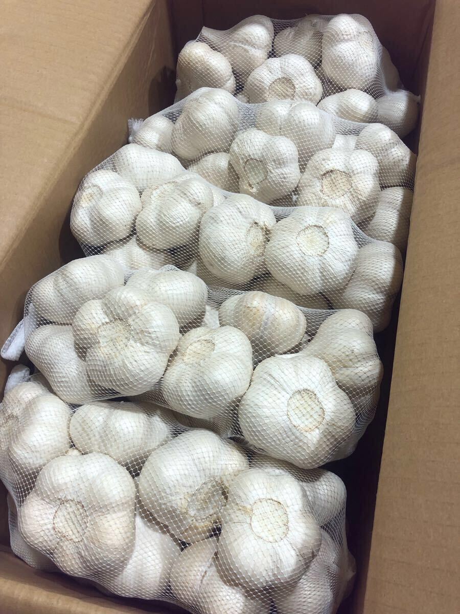 Yahoo!オークション - 青森県産にんにく L 10kg