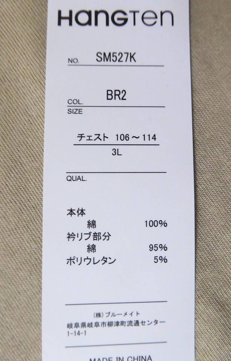 Yahoo!オークション - HANGTEN ハンテン カジュアル バックプリント 半...