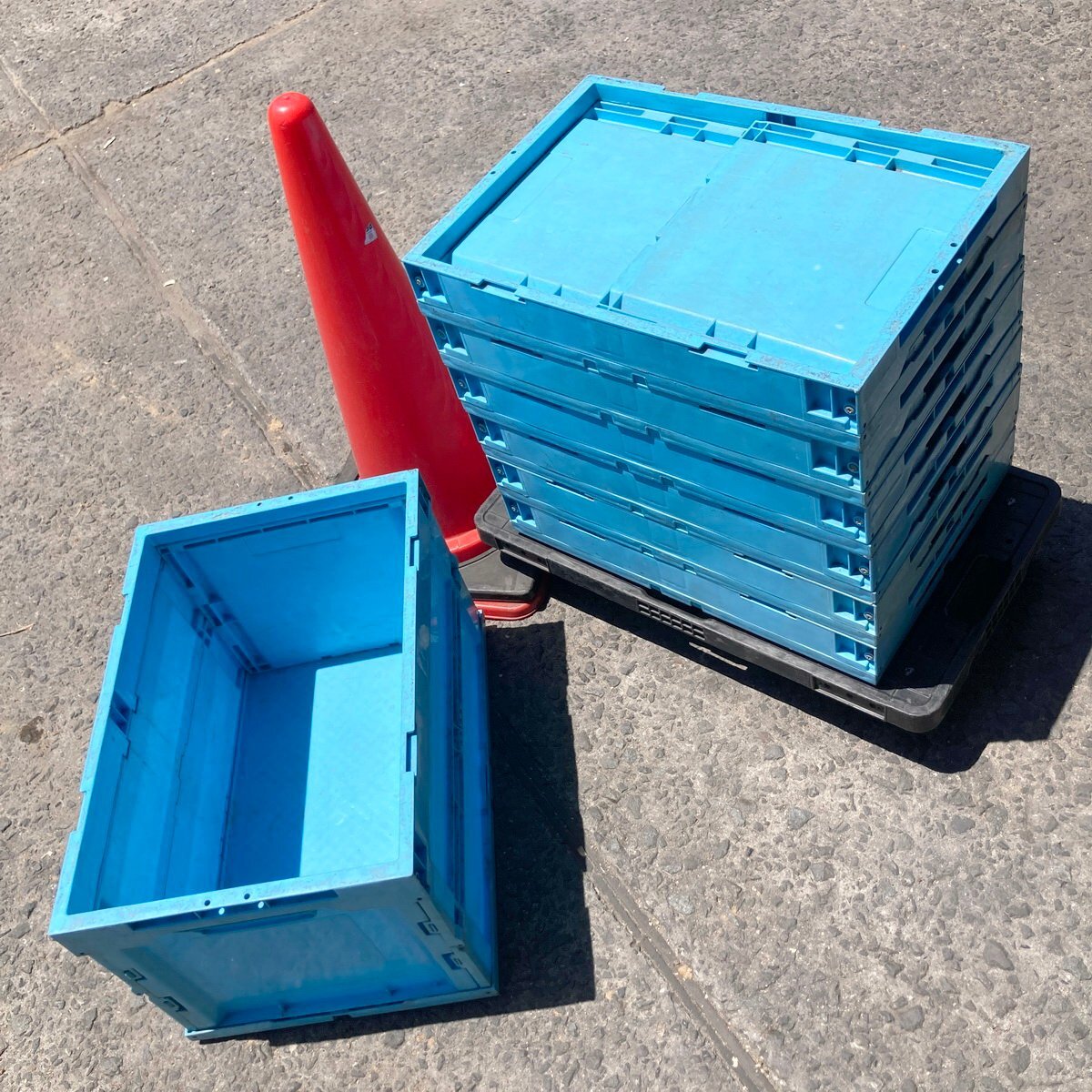 Yahoo!オークション - ガ睦.b526 リスのプラスチック オリコン サンテ...