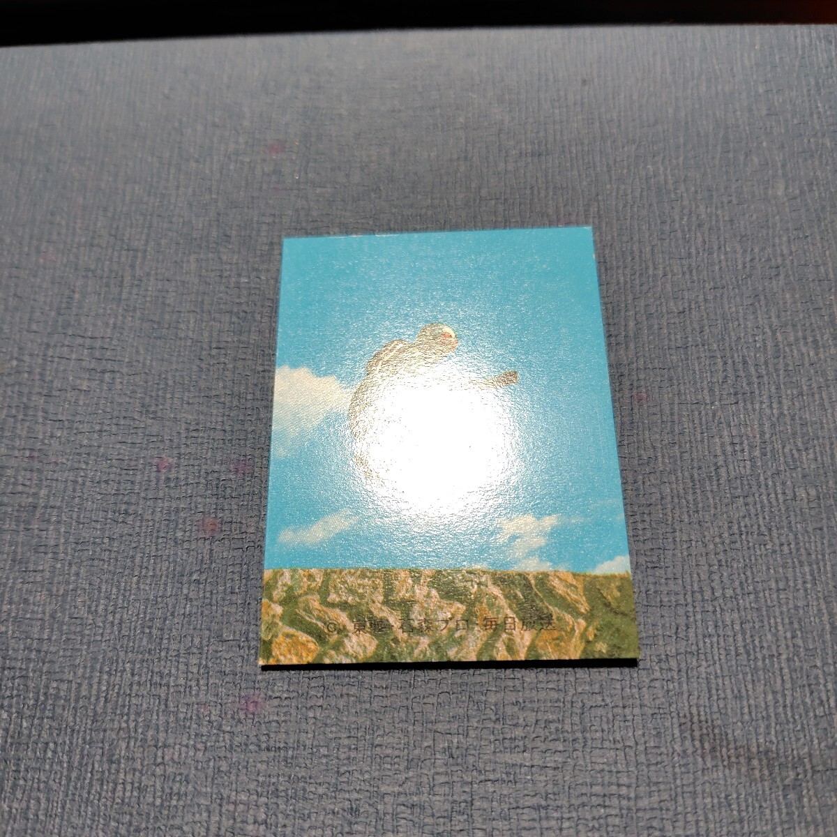 Yahoo!オークション - 旧カルビー仮面ライダーカード 502番 YR21版 美...